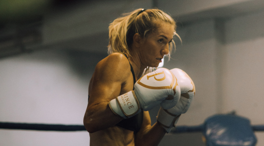 Basi - Federal Working Group for Safety and Health at Work - Basi